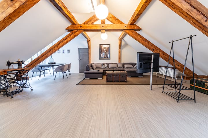 Large Spacious Apartment - Wifi, Free Parking, Ac - Baden-Baden