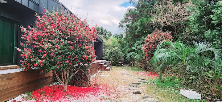 < 월든 /노을  > : 제주 아늑한 산속숙소/투룸독채/ 돌담 귤밭 - South Korea