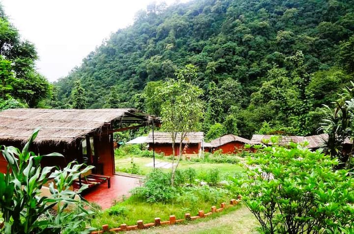 Living With The Mountain Stream - Rishikesh