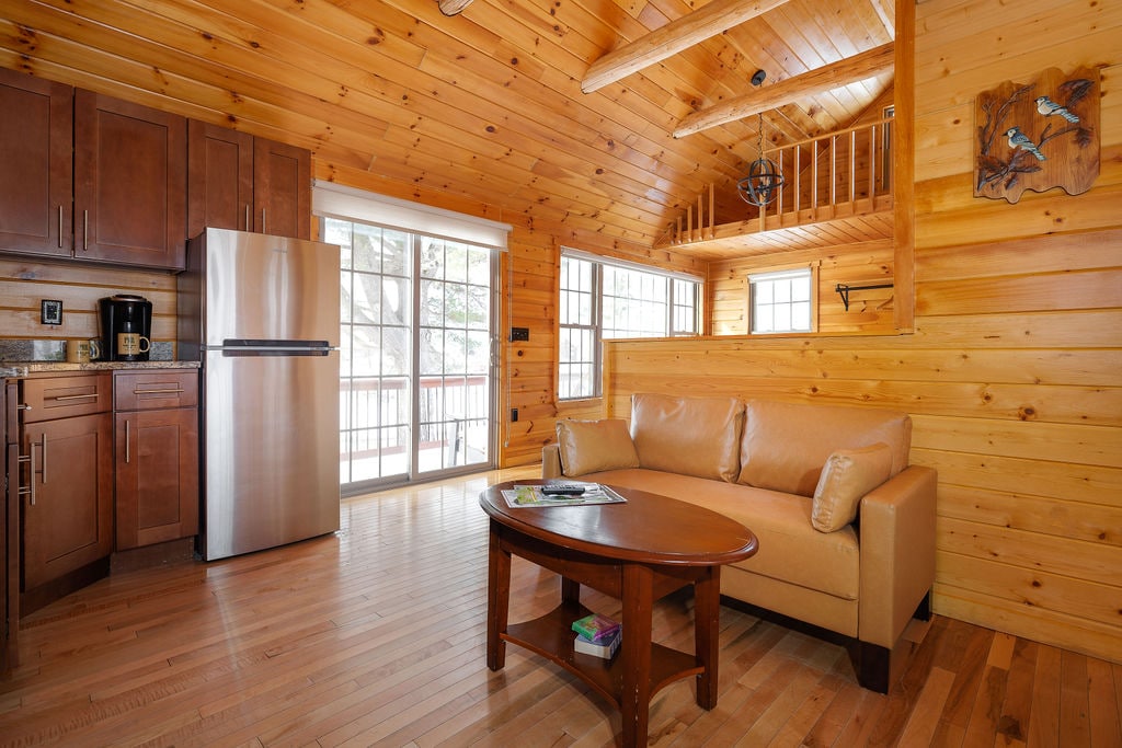 Chestnut Studio: Cozy Lakefront Cabin Retreat - Cabins for Rent in ...