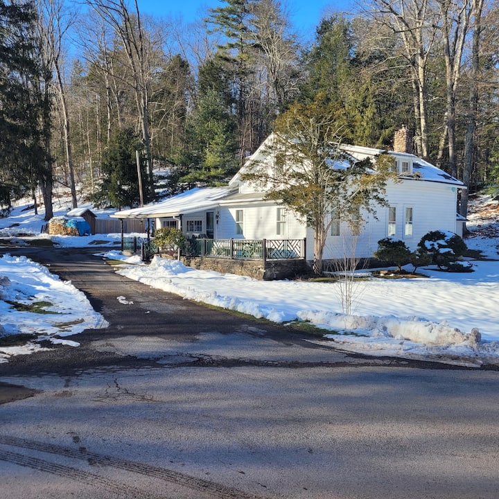 Panther Mountain Lodge - Phoenicia, NY