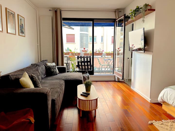Bright Apartment With Terrace - Paris 15e Arrondissement