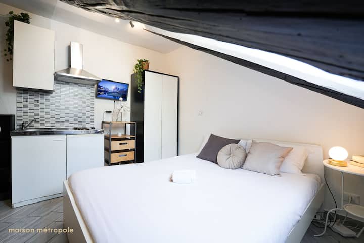 Metro Dante | Mansarda Raffaello - Turin