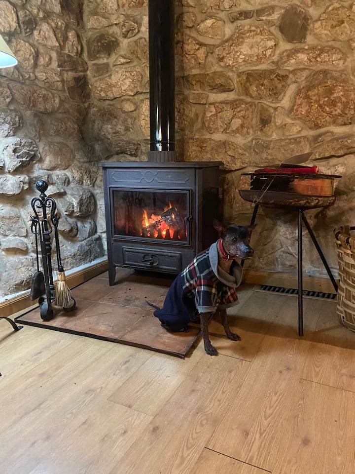 Disfruta De Robledo En Casa Con Estufa De Leña - Caravia