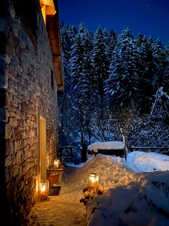 Bellissimo Appartamento In Chalet Alpino - Italia