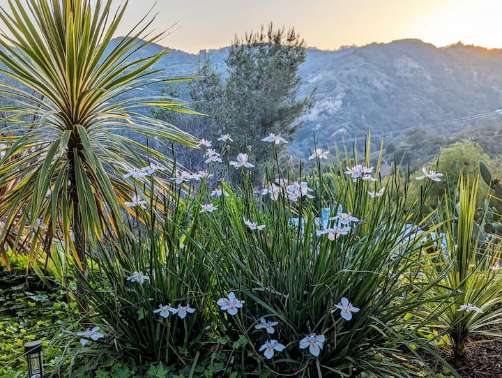 Charming  2br/2ba Topanga Home - Topanga, CA