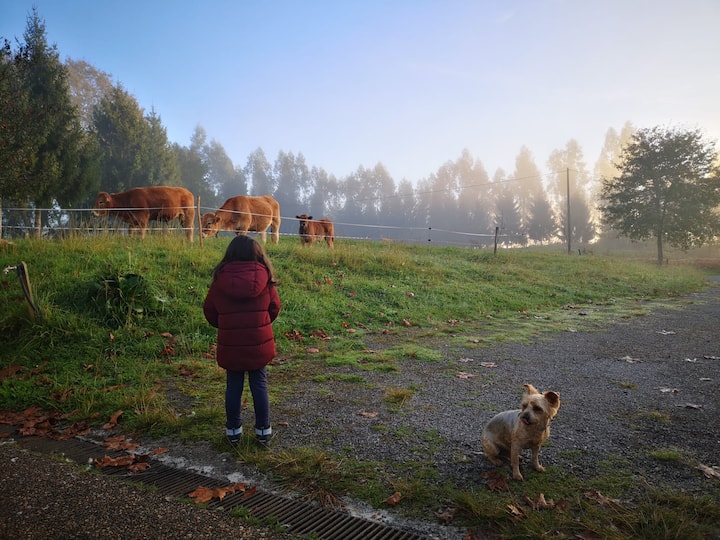 Calor Asturiano En Casa Petfriendly Con Jardines - Caravia