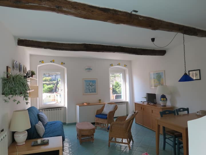 Casa Luanen Appartamento Con Giardino - Manarola
