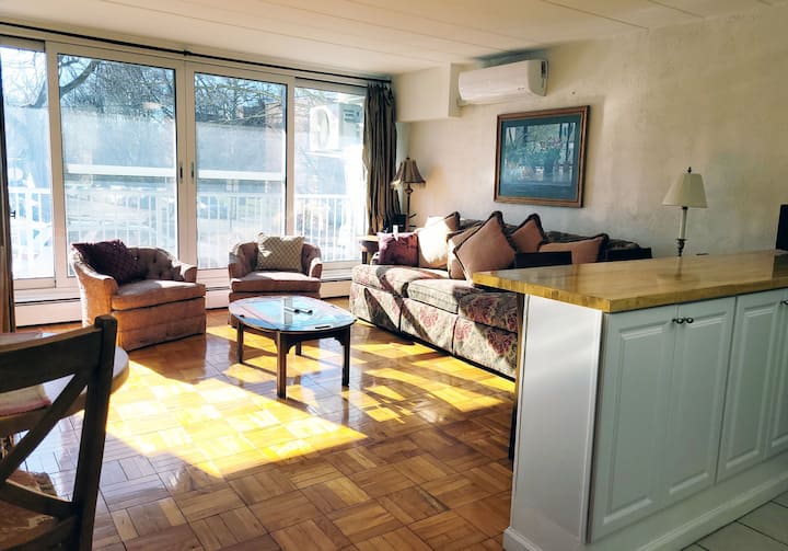 Lovely, Large 1br W/private Terrace Near Lirr - Great Neck, NY