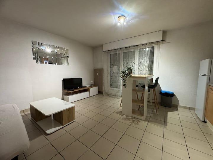 Joli F1 Bis Aux Portes De Geneve/ Border’s Geneva - Gaillard