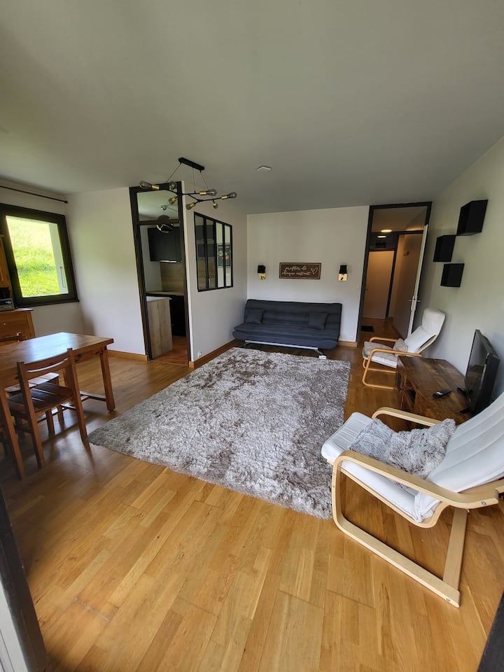 Appartement 55m2 Proche Des Pistes Belle Vue - Saint-Gervais-les-Bains
