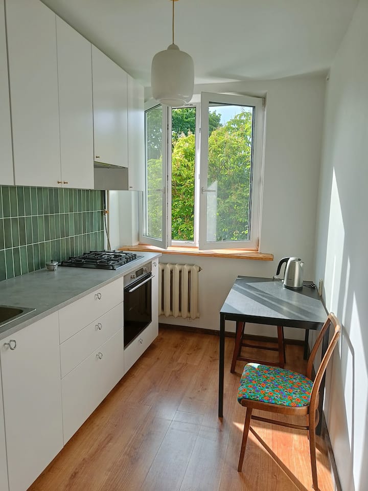 Entire Apartment By Train Station - Litvánia