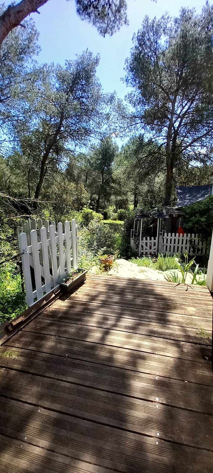 De L'oxygène De La Verdure: Calme Et Détente! - Nîmes