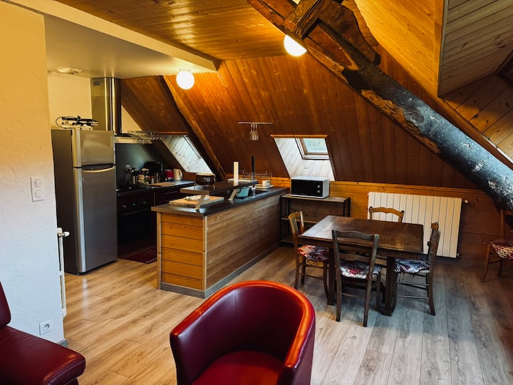 «&nbsp;Les Artigaux&nbsp;» T4 100 M2 - Argelès-Gazost