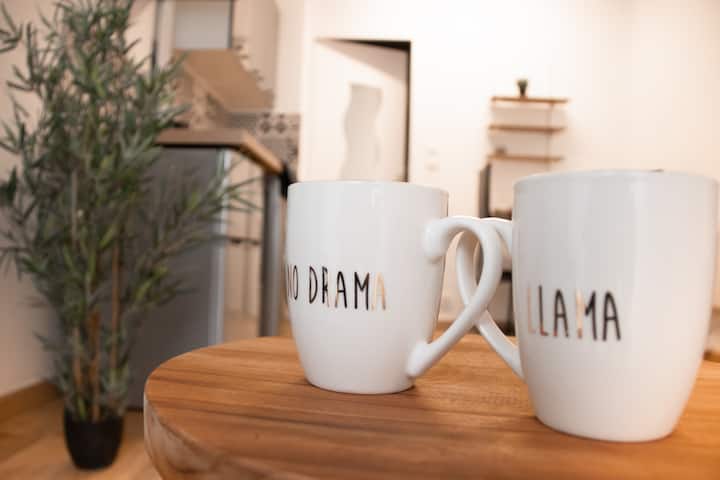 Studio 4min De La Mer - Nice