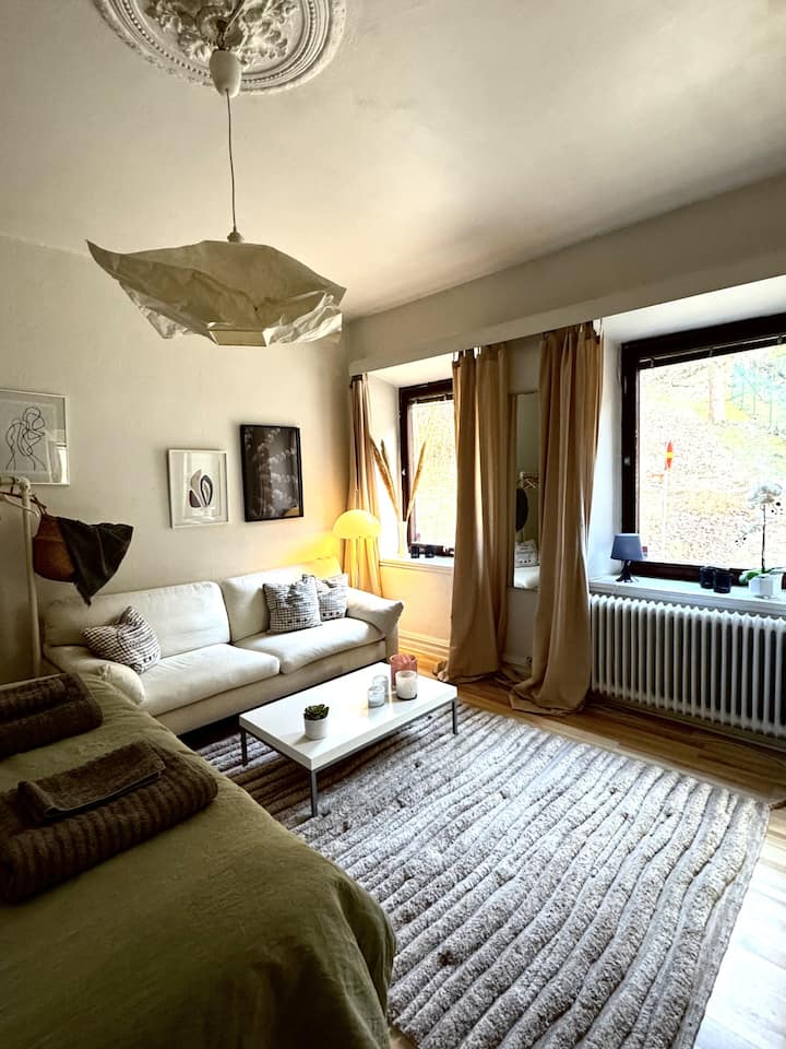 Trevlig Studio I Centrala Göteborg - Gothenburg