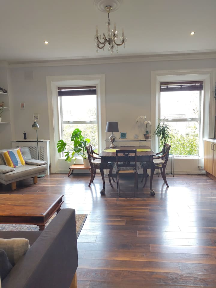 Elegant, Bright Ranelagh Apt - Ireland