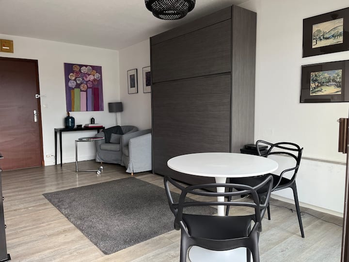 Dax Studio 3* Avec Terrasse Centre Ville. - Dax