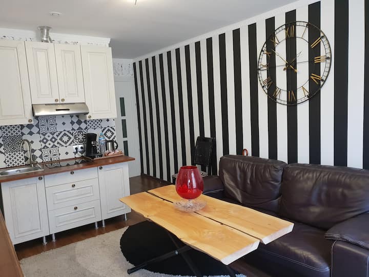 Appartement T3 Centre Bordeaux Avec Parking - Bordeaux