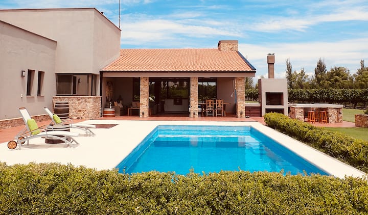 Amongst The Vines In Valle De Uco - Tunuyán