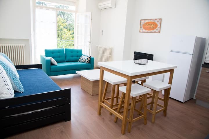 Appartement Avec Terrasse Le Vintage - Albi