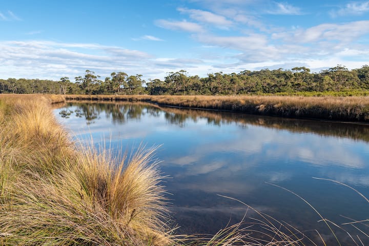 Cloudy Creek Cottage - Serenity, Views & Nature! - Tasmanien