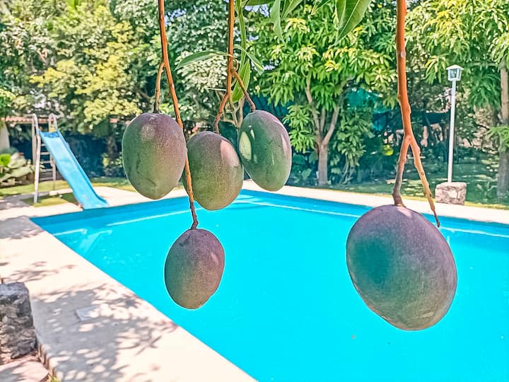 Casa La Ceiba - Morelos