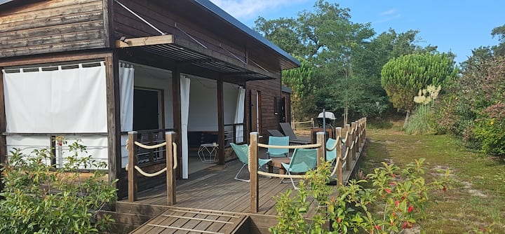 Chalet N°13 Entre Forêt Et éTangs - Saubion