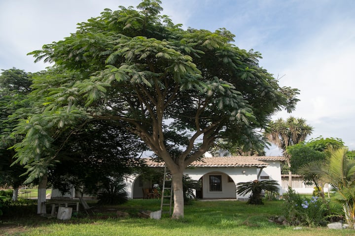 Beautiful Countryside Home With A Harvest Garden - Quilmaná