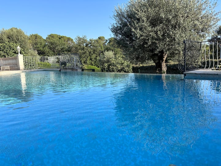Un Jardin D'oliviers Avec Une Villa Provençale - Vence