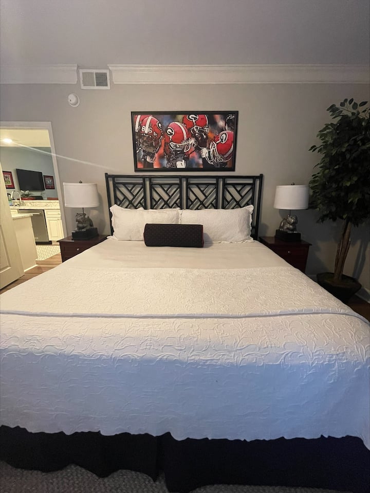 Downtown Gem: 1br  Luxury Condo! (#502) - Athens, GA