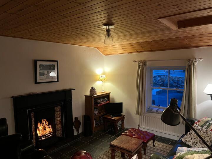 Derryhassen Beg Cottage - Downings