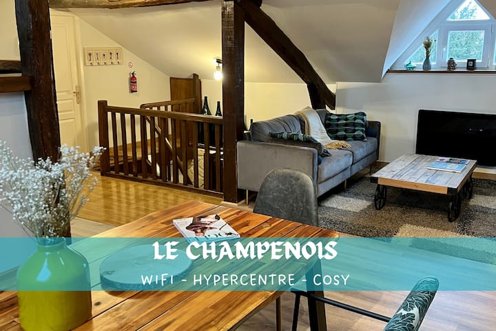 Le Champenois - 75 M2 - Avenue De Champagne - Épernay