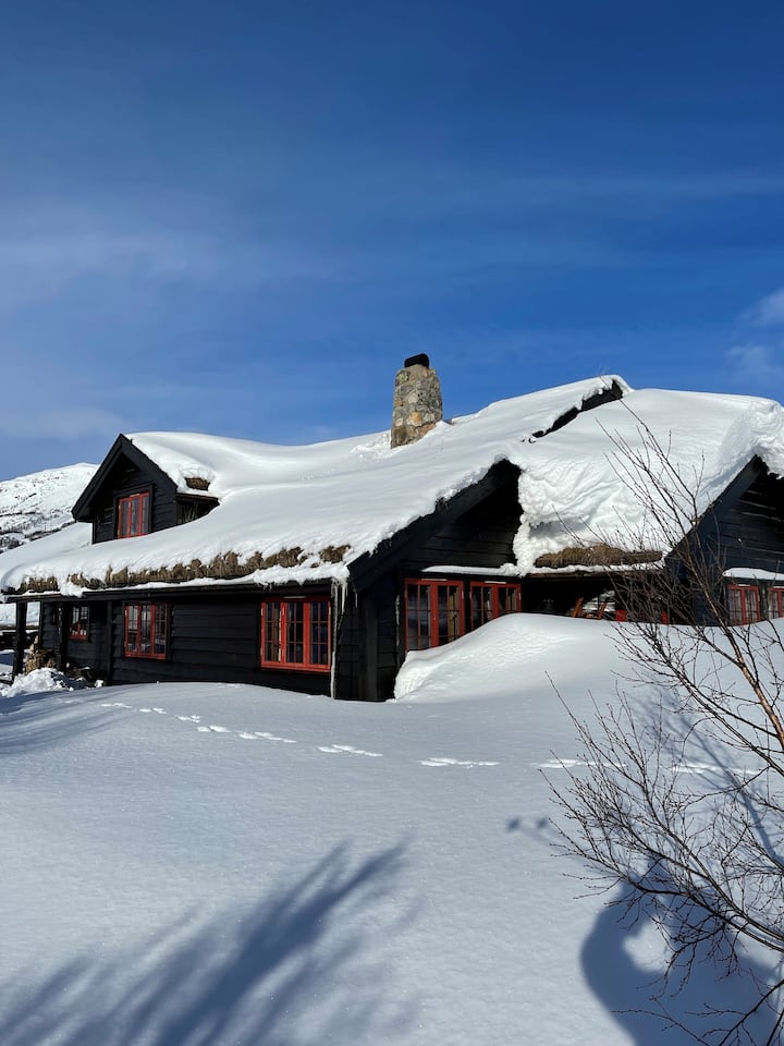 Hovden, Stor Hytte Nær Alpinsenter, Passer 2 Fam. - Hovden