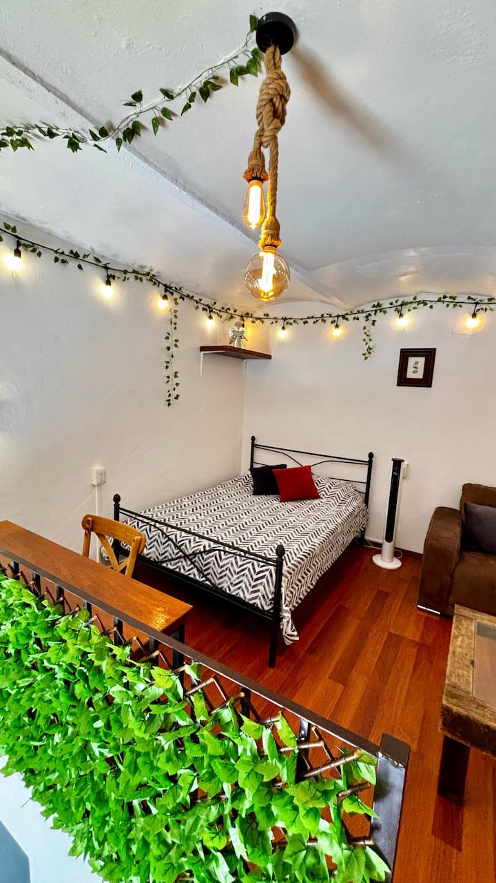 Alojamiento En El Centro Histórico - Oaxaca