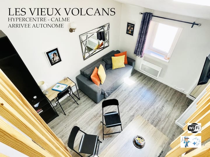 ⭐️ Vivez Sur Un Volcan, Vivez Clermont Ferrand ⭐️ - Clermont-Ferrand
