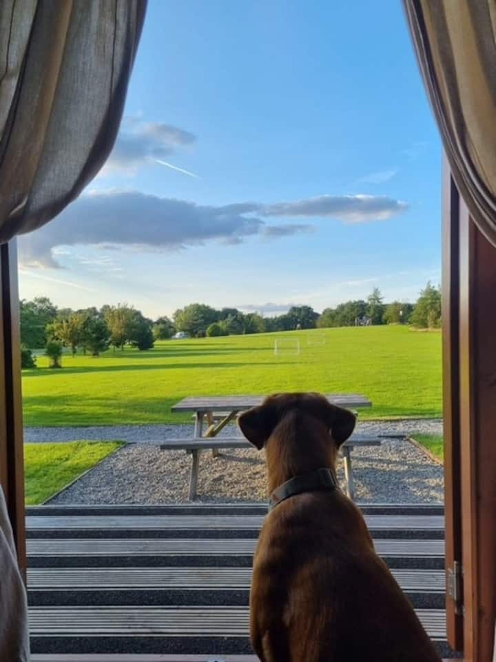 Pet Friendly Glamping Pod, Thirsk, North Yorkshire - Northallerton