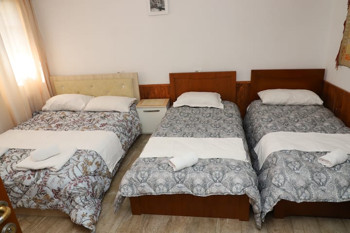 Elvi Aerd Apartment 2 - Berat