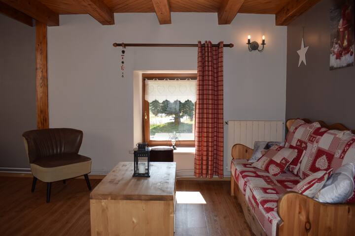 Gite Cosy Sentiers Rando Sur Place, Proche Pistes - La Bresse