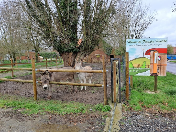 Roulotte "Photinia" - Bailleul