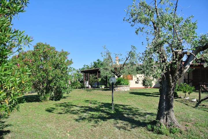 La Casa Di Campagna Immersa Negli Olivi - Castagneto Carducci