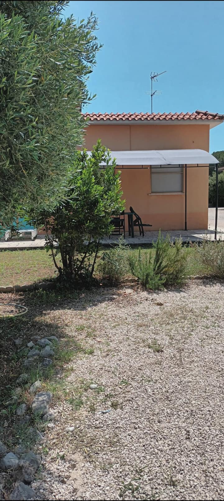 Musa House App.toterracina Porto Badinoaff Da S&g - Latium