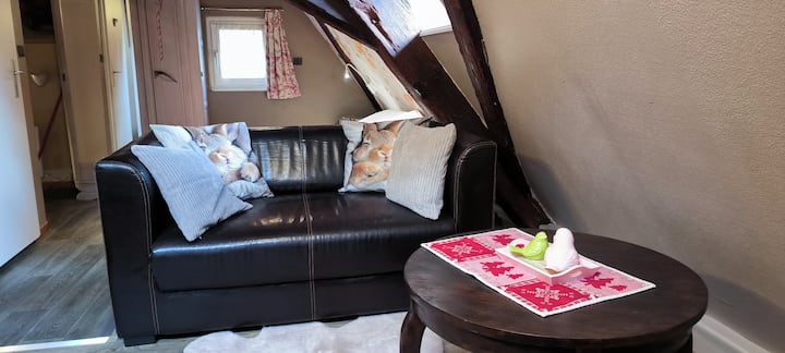 Appartement "Lilas" Avec Jardin - Riquewihr