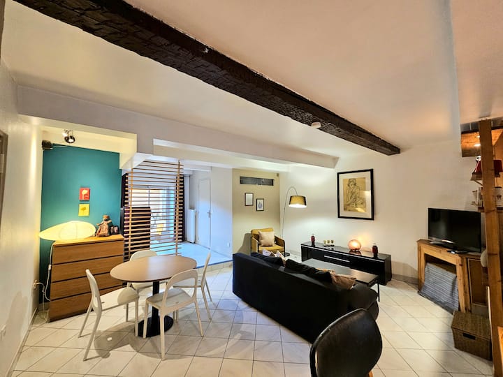 Charming T2, 57m² With 30m² Terrace & Garage - Lyon