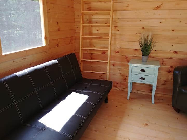 Cozy Cabin #2 - Wilderness Cabin Near Algonquin! - Ontario 60
