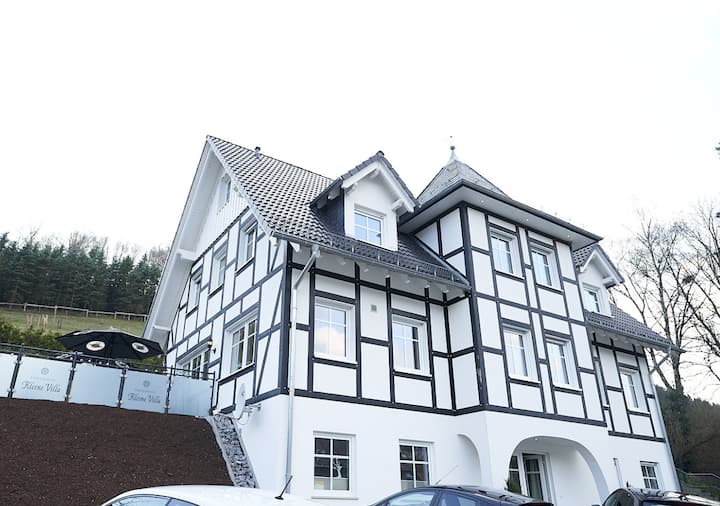 Kleine Villa - Ferienhaus 20 Personen - Winterberg