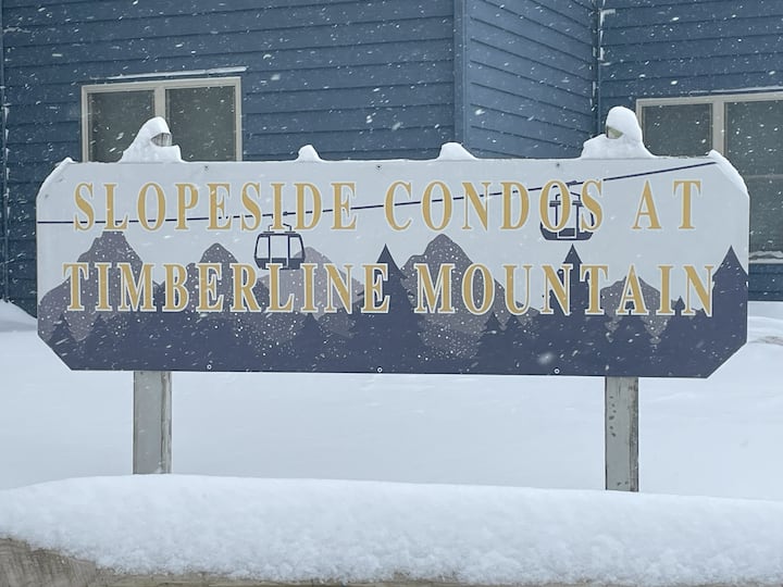 Treeline At Timberline! - Blackwater Falls State Park, Davis