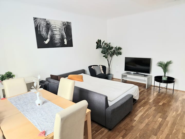 Charming 1 Bedroom Apt Near Belvedere - Vienna