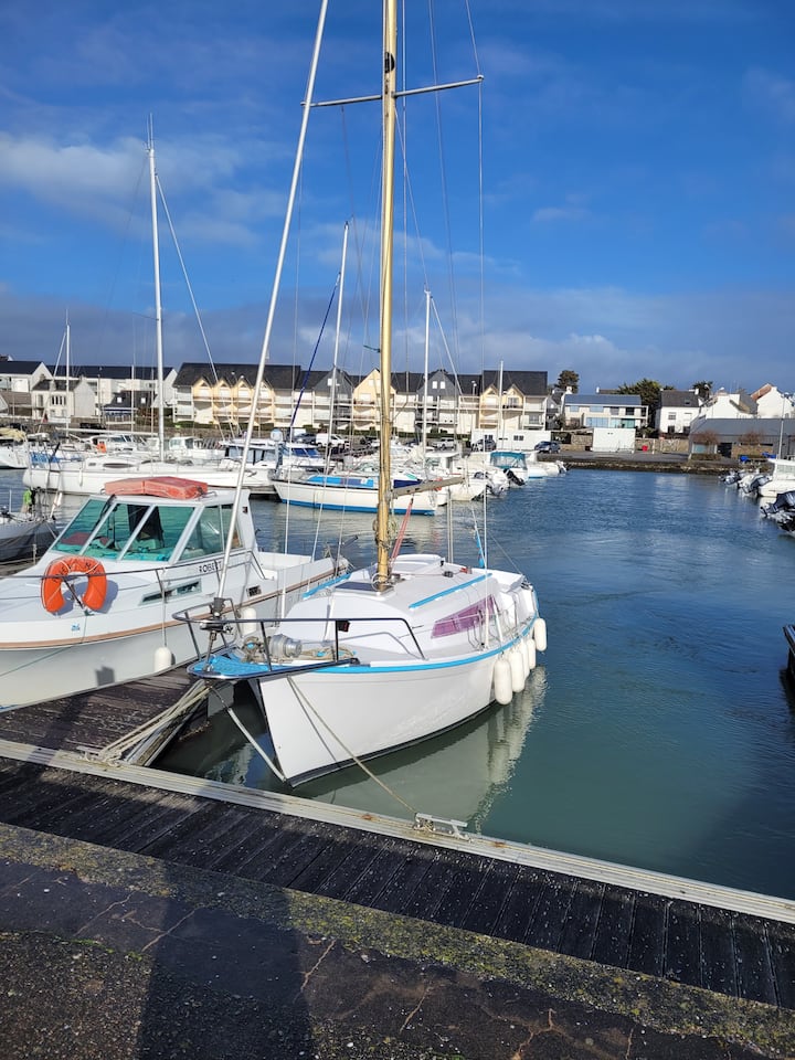 Vue,port De Plaisance Et Ria à Etel 
Piscine,plage - Étel