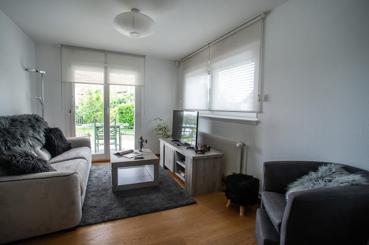 Appartement Lumineux, Terrasse, Parking, Vignoble - Riquewihr